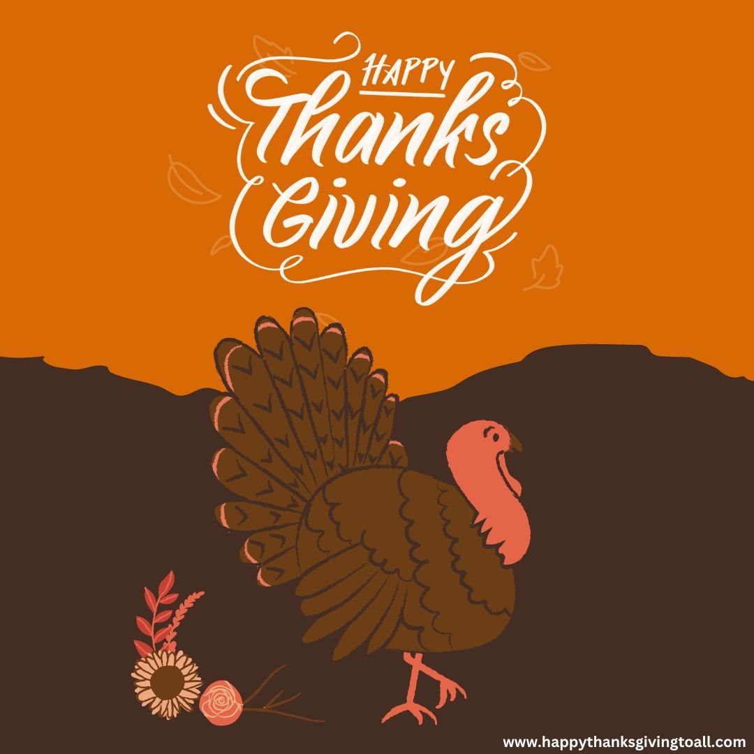 Thanksgiving Day Turkey Images, Get the Best Collection of Turkey ...