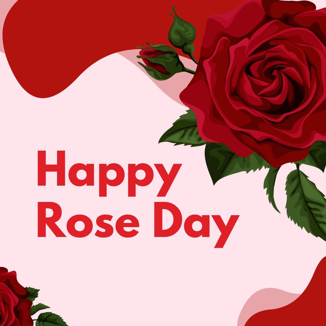Happy Rose Day 2025 Images, Wishes, Quotes and Messages